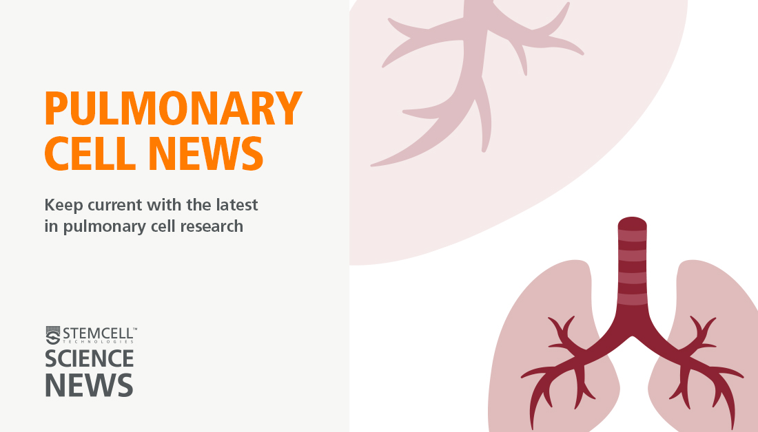 Pulmonary Cell News | Science News