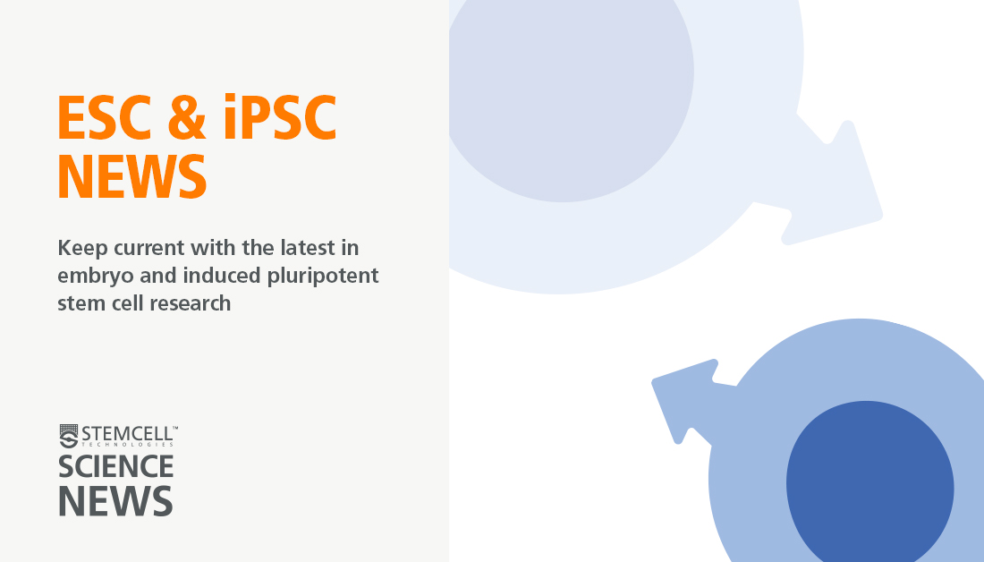 ESC & iPSC News | Science News