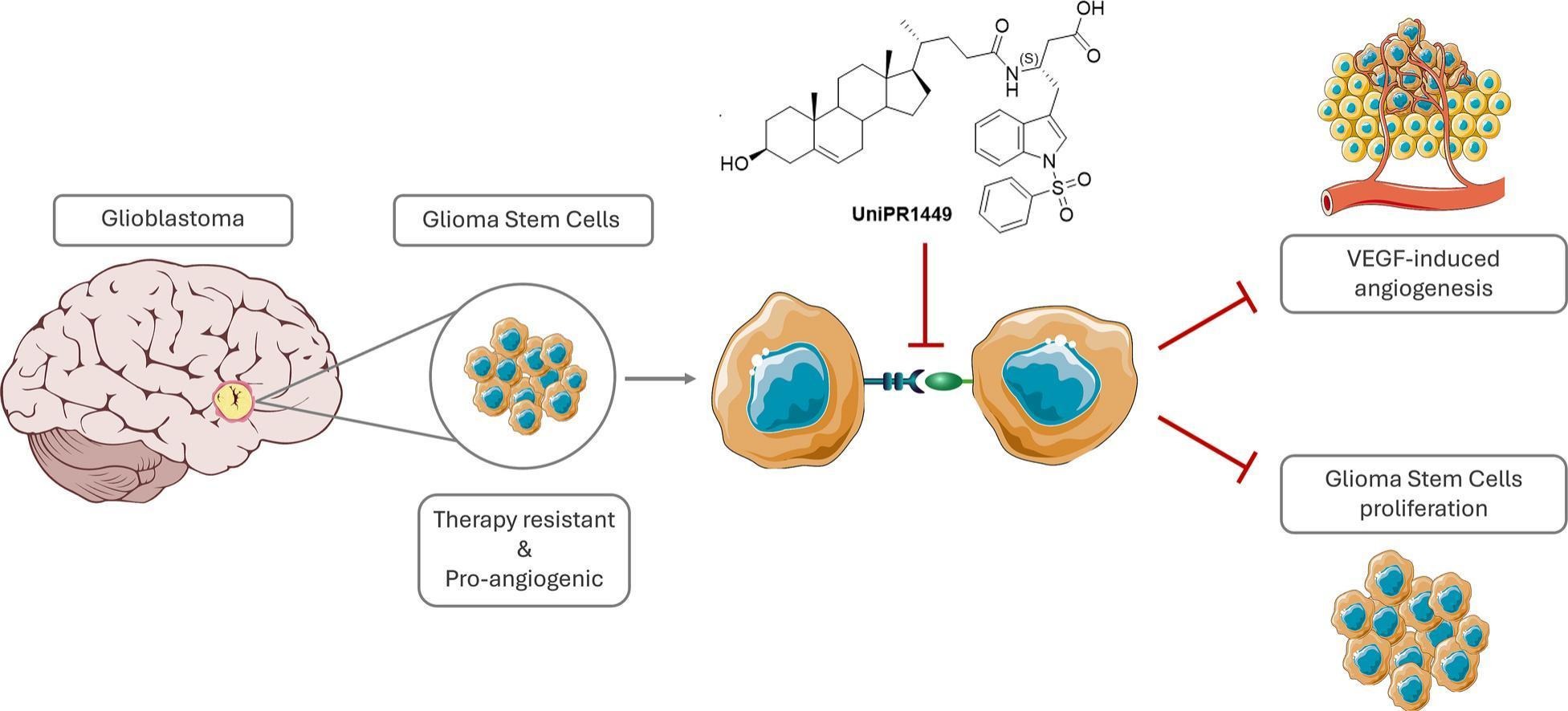 Dual Targeting of EphAs and KDR Axis Hampers VEGF-Induced Angiogenesis ...